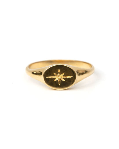 Sirius | Gold Vermeil Signet Star Ring | wellDunn jewelry